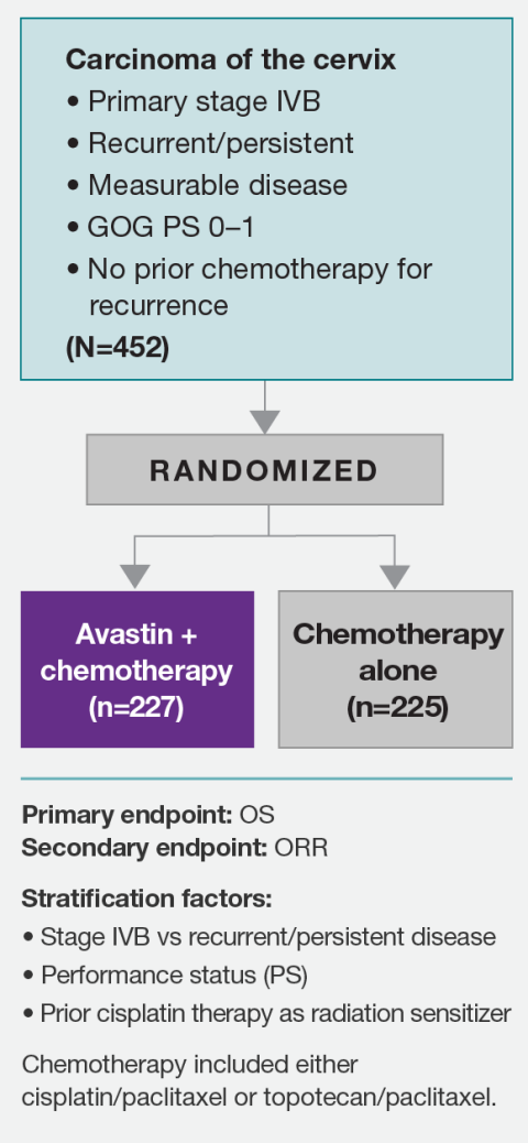 Avastin Structure Cellular Uptake Of Bevacizumab In Cervical And