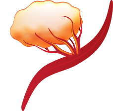 How Avastin® (bevacizumab) works for metastatic colorectal cancer (mCRC)