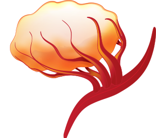 How Avastin® (bevacizumab) works for metastatic colorectal cancer (mCRC)